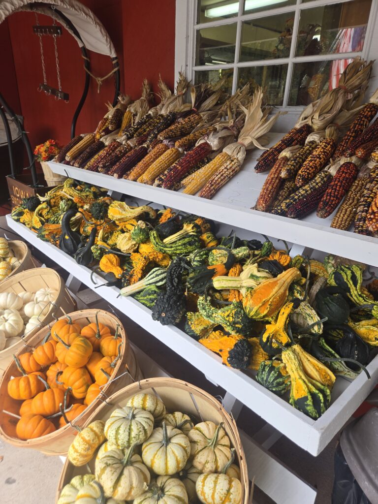 Trauger's Farm Market